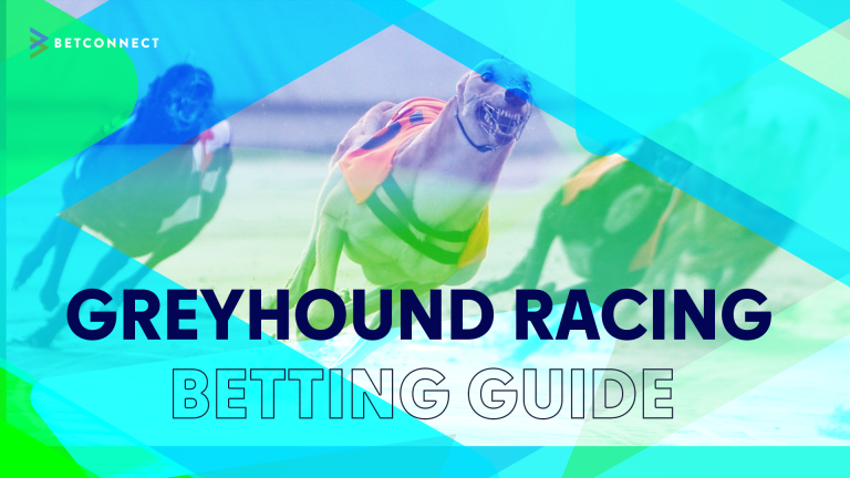 Greyhound Racing Betting Guide: All You Need to Know in 2022 - BetConnect
